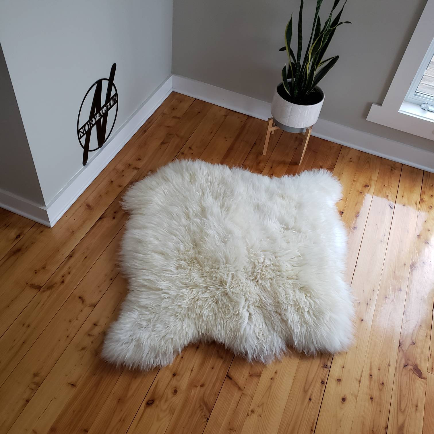 Why Choose a Genuine Sheepskin Rug for Your Home?