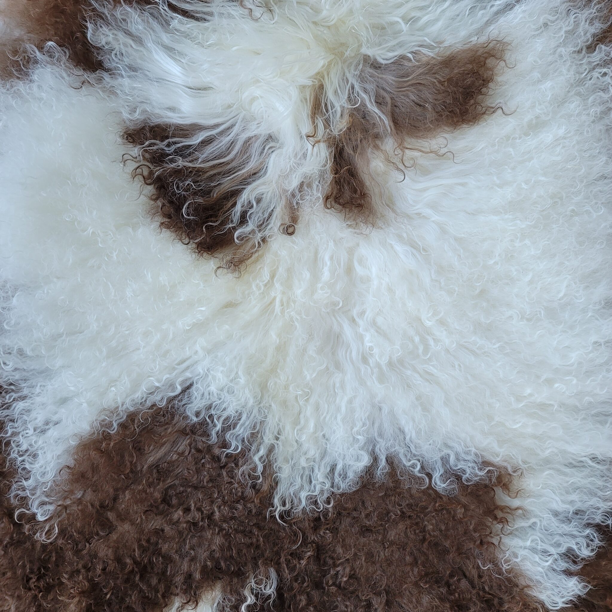 Soft, Light and Luxurious Mongolian Sheepskin throw or rug - Genuine ...
