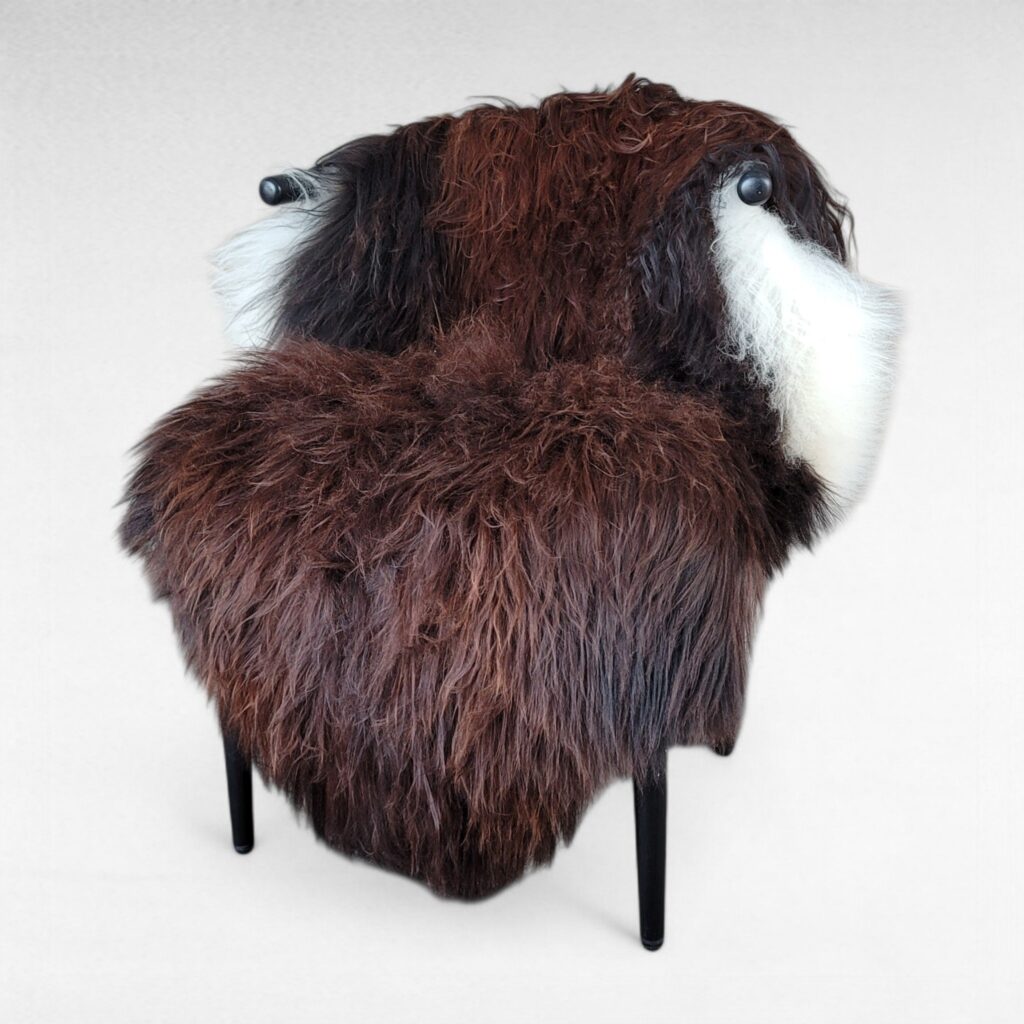 Extra Large Moorit Icelandic Sheepskin Hide 58" x 38"