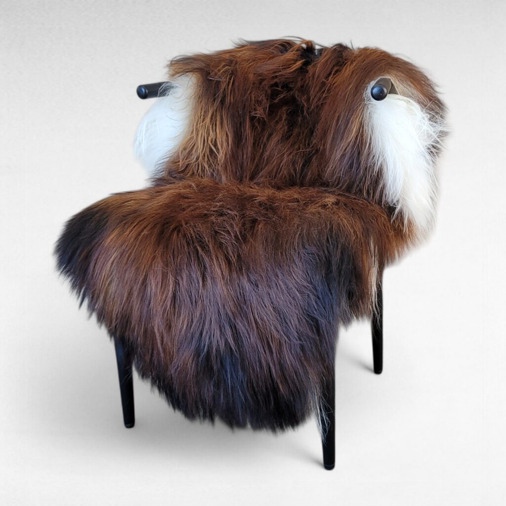 Extra Large Rare Undyed Moorit Icelandic Sheepskin 57" x 35" | Noryageur